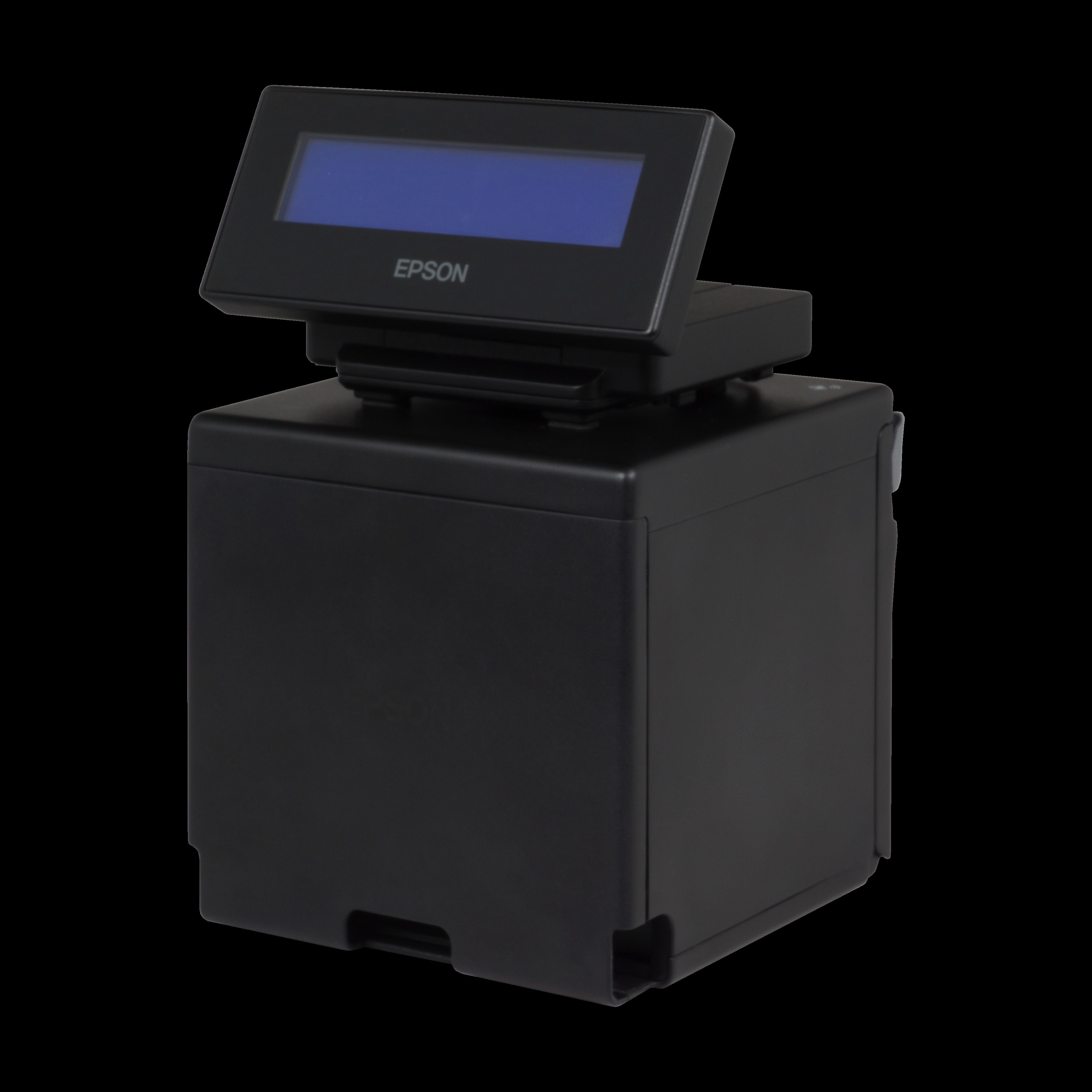 Epson DM-D30 (111): Customer Display for TM-m30 Black DM-D30 (111 ...