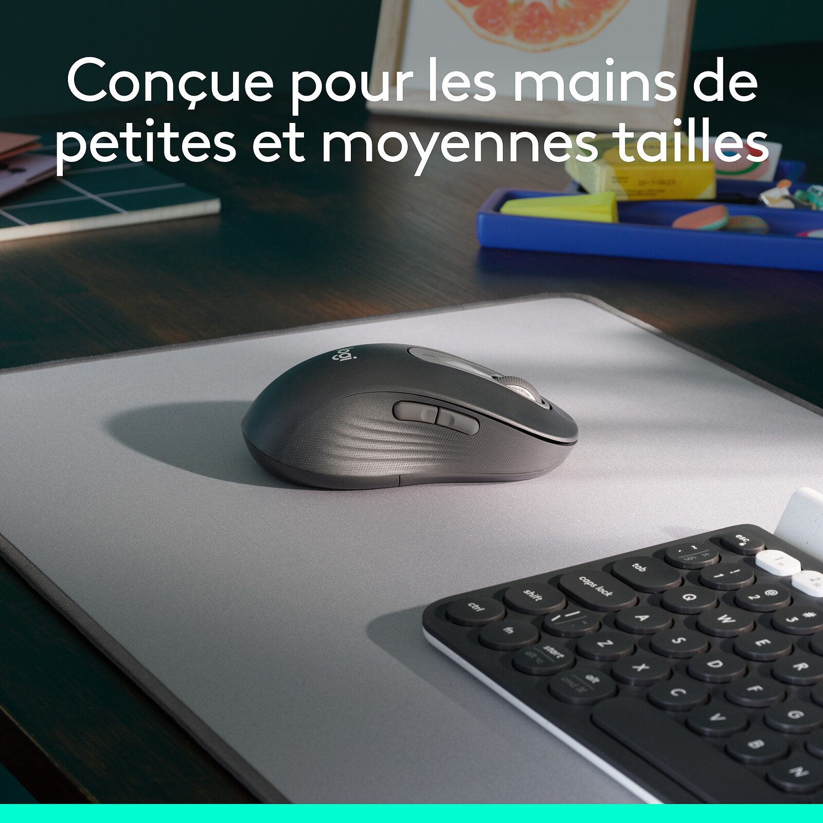 Logitech M650 L Left (Graphite) prix Maroc
