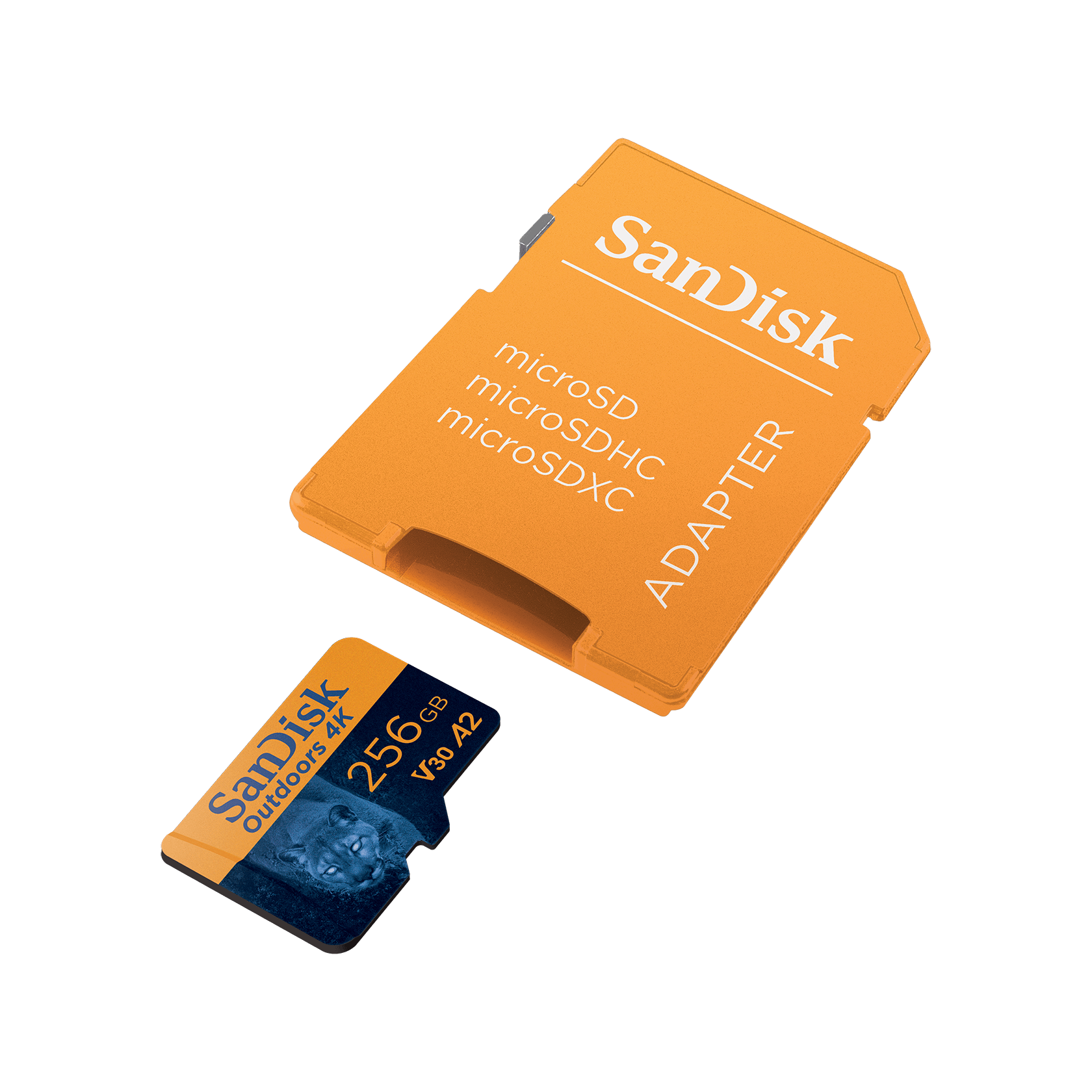Carte microSDXC UHS-I SanDisk Outdoors 4K avec adaptateur SD - Pack de ...