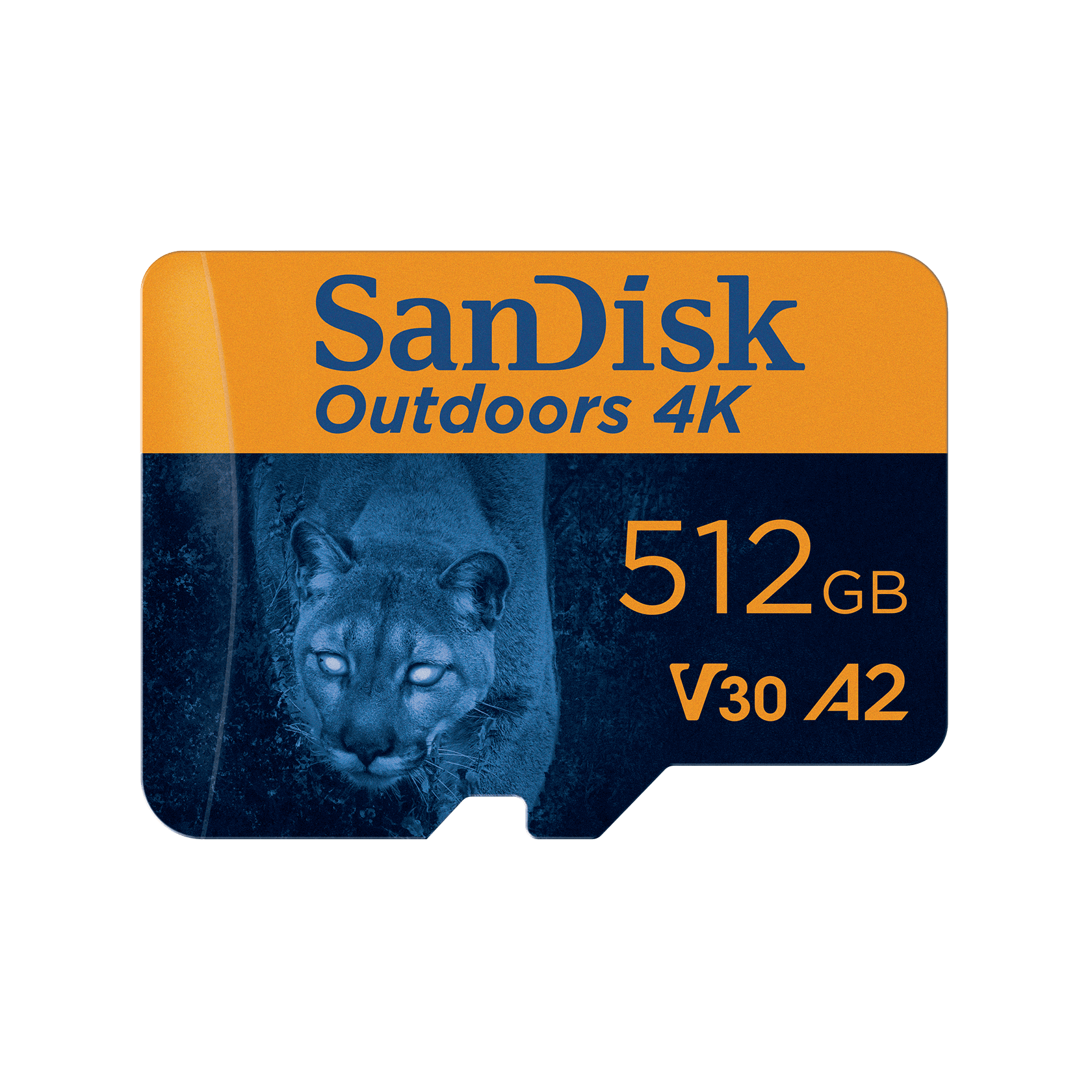 Carte microSDXC UHS-I SanDisk Outdoors 4K avec adaptateur SD - Pack de ...