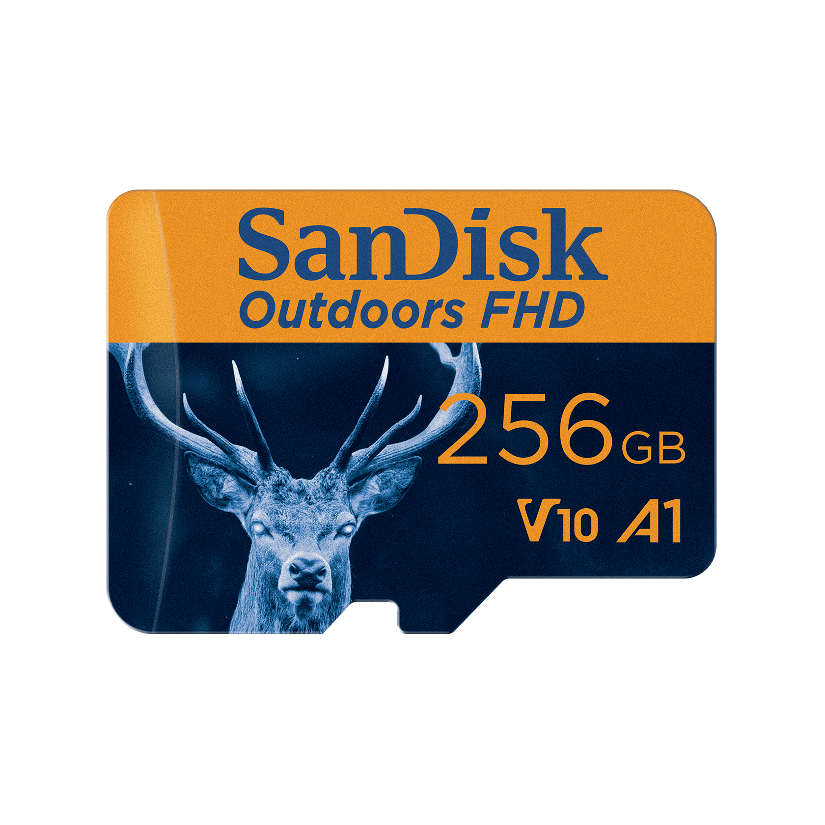 Carte mémoire microSDHC/XC UHS-I SanDisk Outdoors FHD avec adaptateur ...