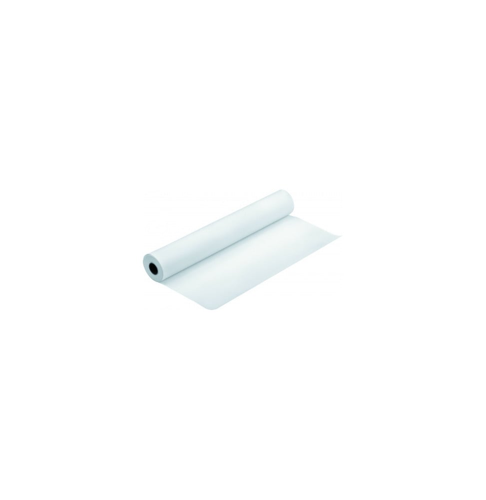 Epson Production Canvas Matte, 914mm x 12,2m – Toile enroulée pour ...