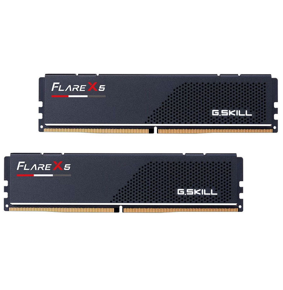G.Skill Flare X5 Series Low Profile 96 Go (2 x 48 Go) DDR5 6000 MHz ...