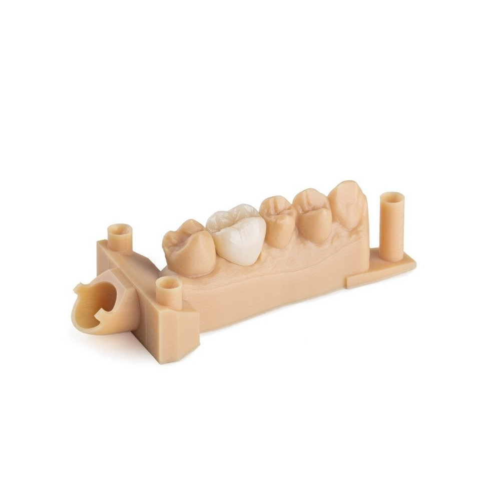 Cartouche Résine Form 2 Dental Model 1L (RS-F2-DMBE) prix Maroc