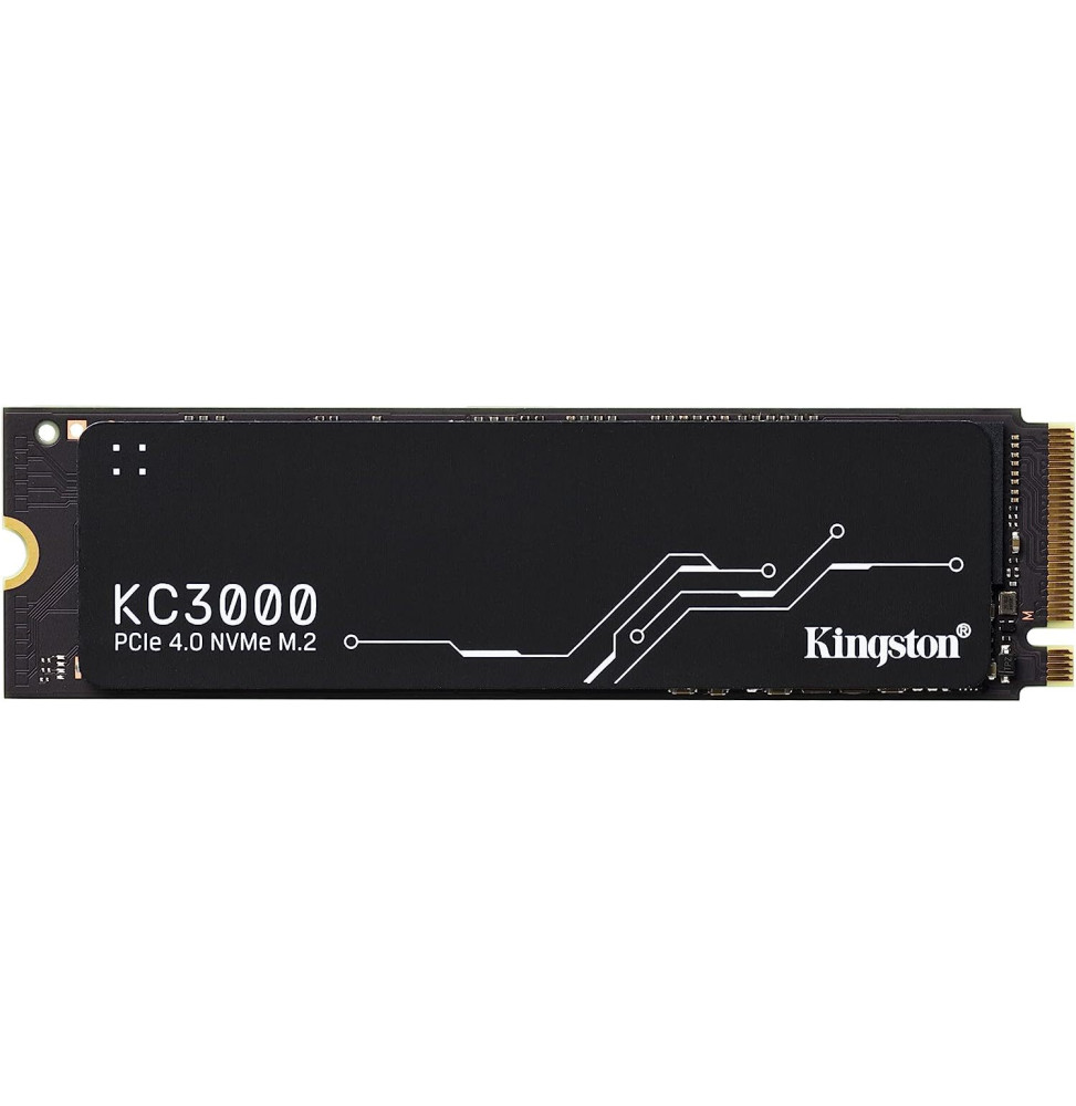Disques Durs Internes SSD M.2 NVMe | Performance & Fiabilité